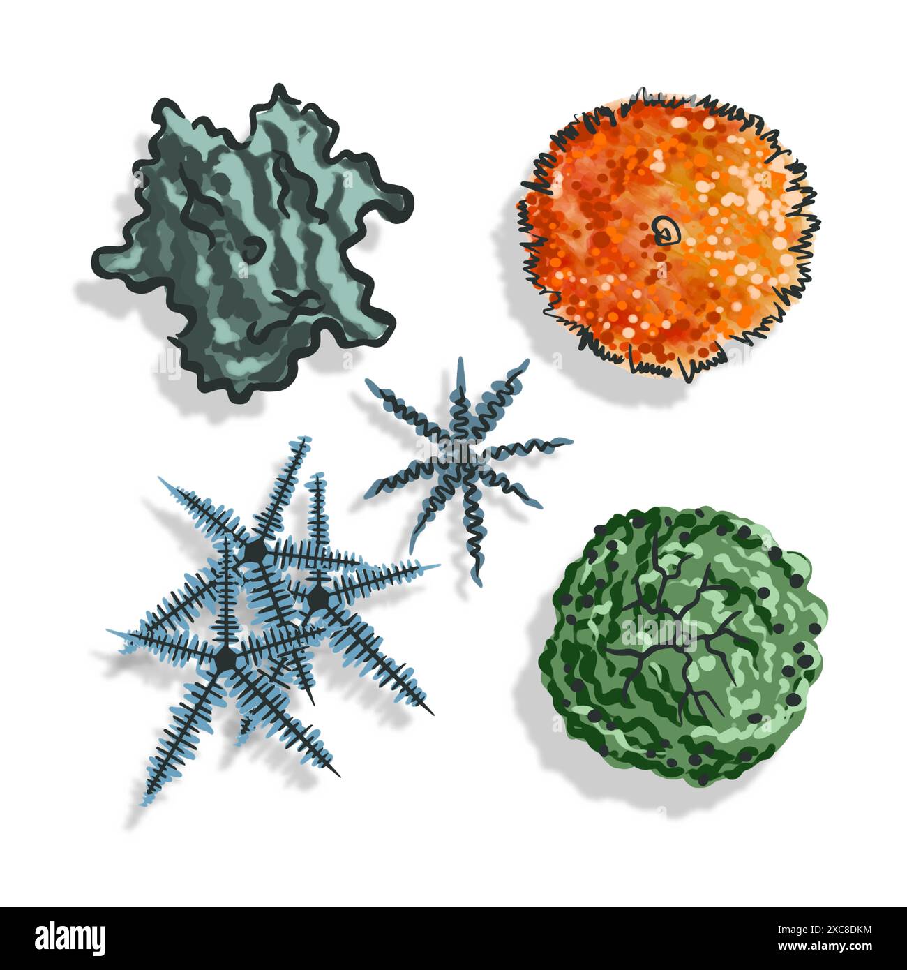 Set trees top view in color. Pictograms for general plans landscape ...