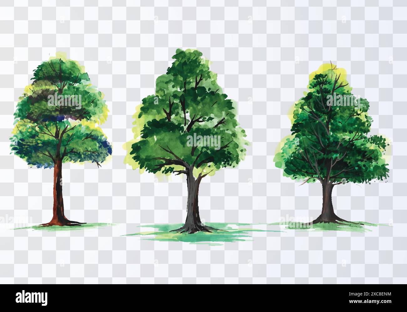 Set of various watercolor trees on transparent background Stock Vector ...