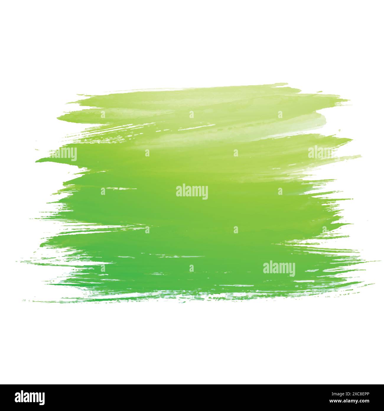 Hand draw green watercolor strock on white background Stock Vector ...