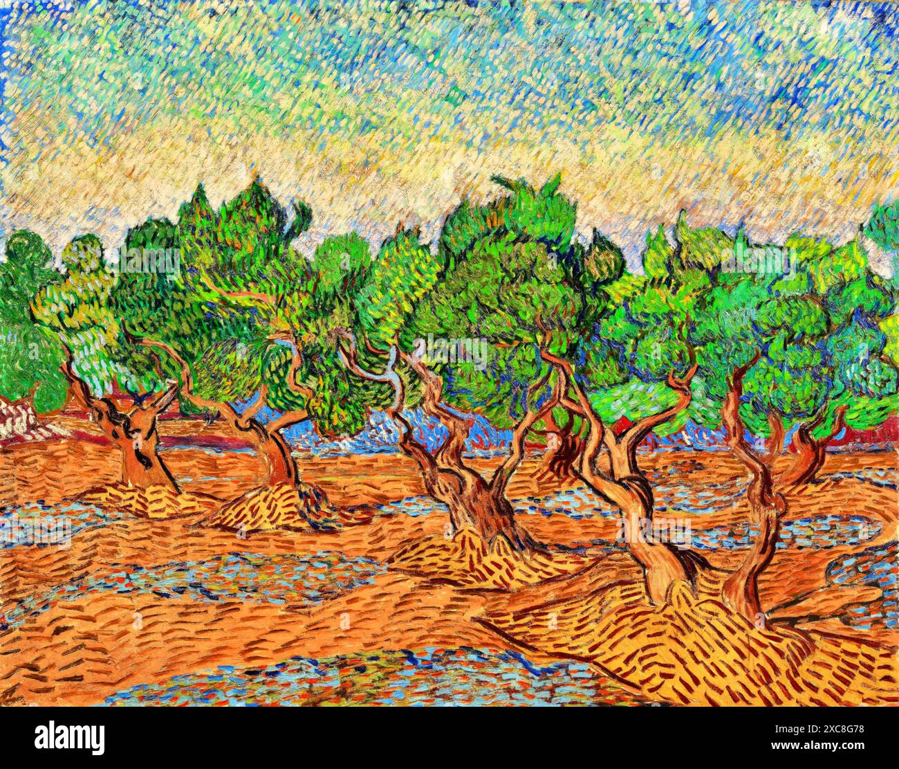 Olive Grove, 1889 (Painting) Artist Gogh, Vincent van (1853-90) Dutch ...