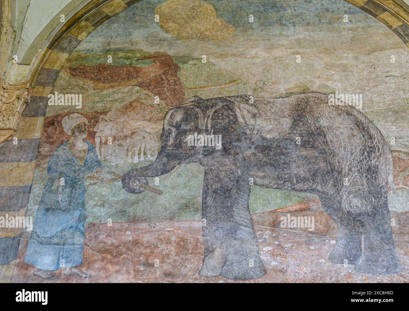 Elephants porch hi-res stock photography and images - Alamy