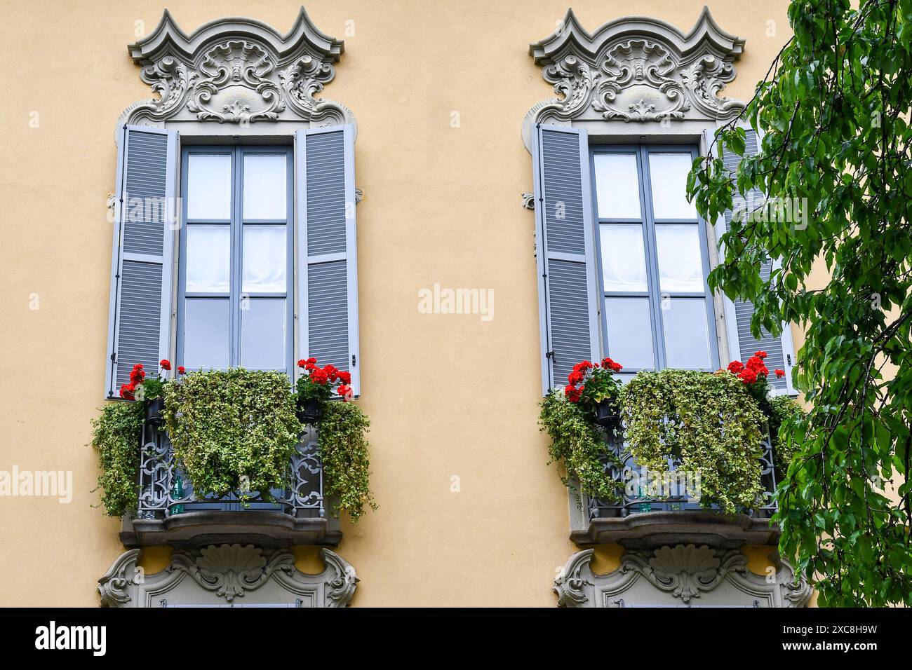 A pair of windows with French balconies and potted plants on the facade ...