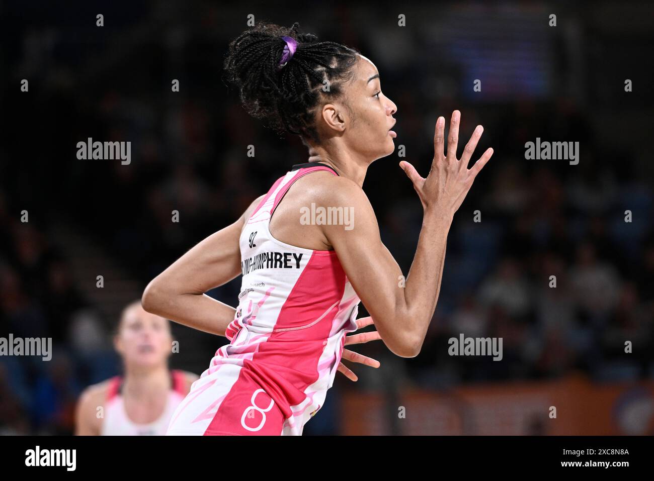 Adelaide thunderbirds hi-res stock photography and images - Alamy