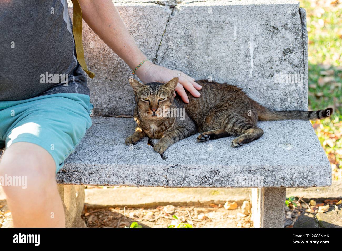 Homeless man with cat hi-res stock photography and images - Alamy