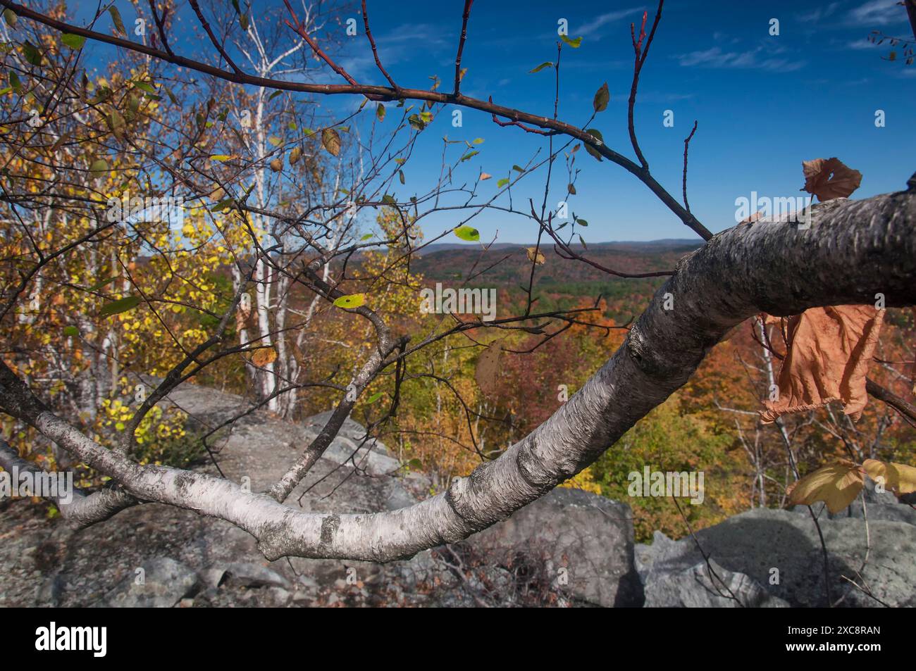 Becket quarry hi-res stock photography and images - Alamy