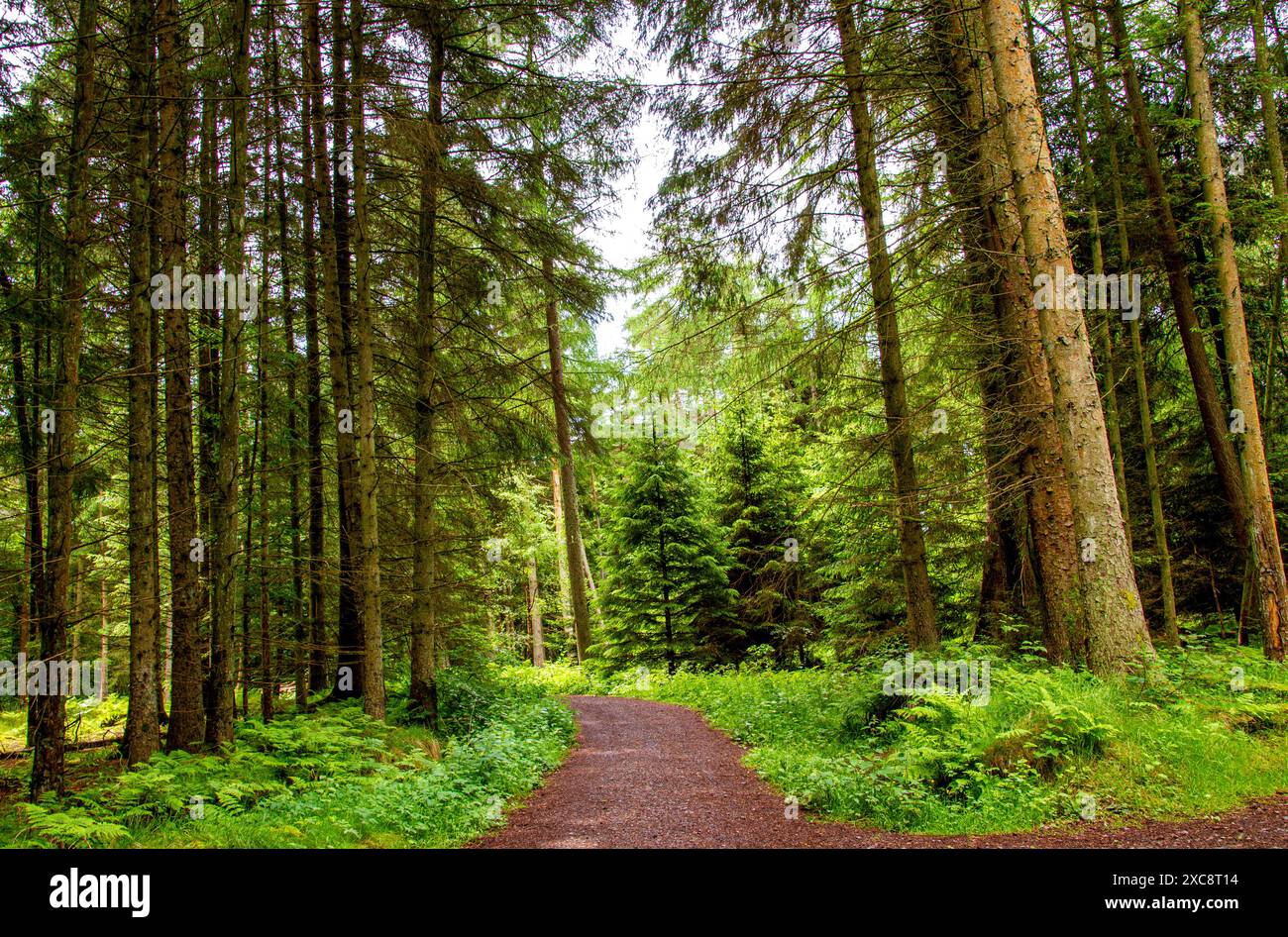 In Templeton Woods there are winding nature trails, trees with vibrant ...