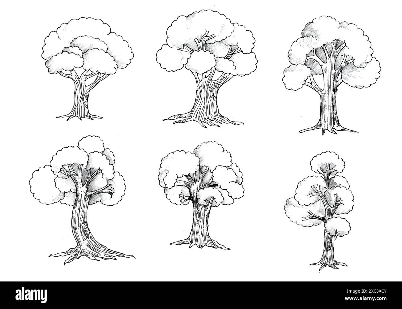 Hand draw trees set sketch illustration design Stock Vector Image & Art ...