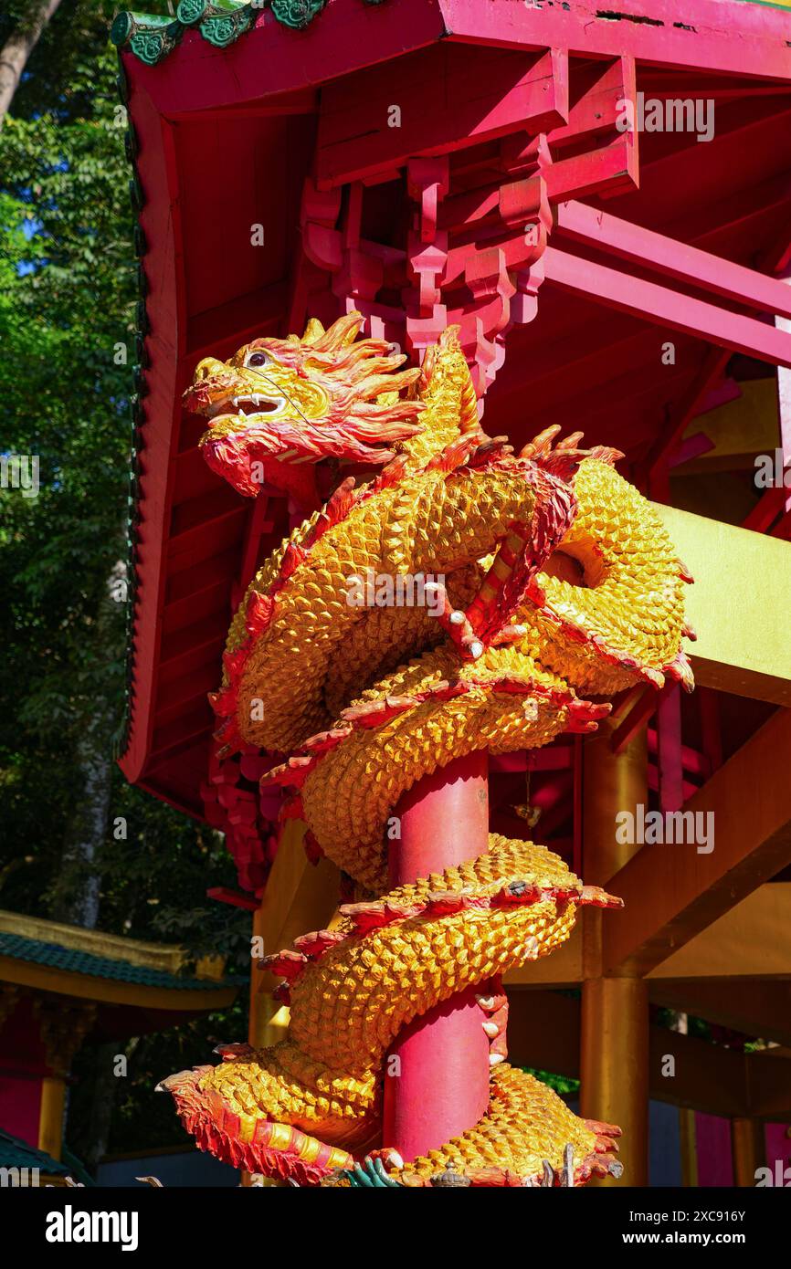 Asian dragon rolled around a column of the Bodhisattva Guanyin Pagoda ...