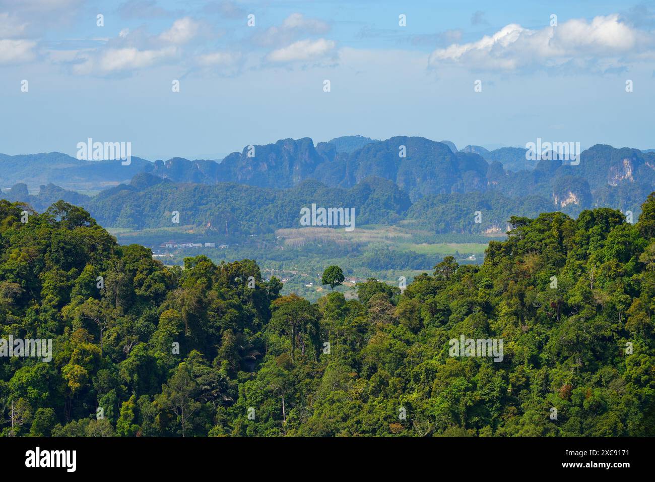Limestone cliffs lush tropical jungle hi-res stock photography and ...