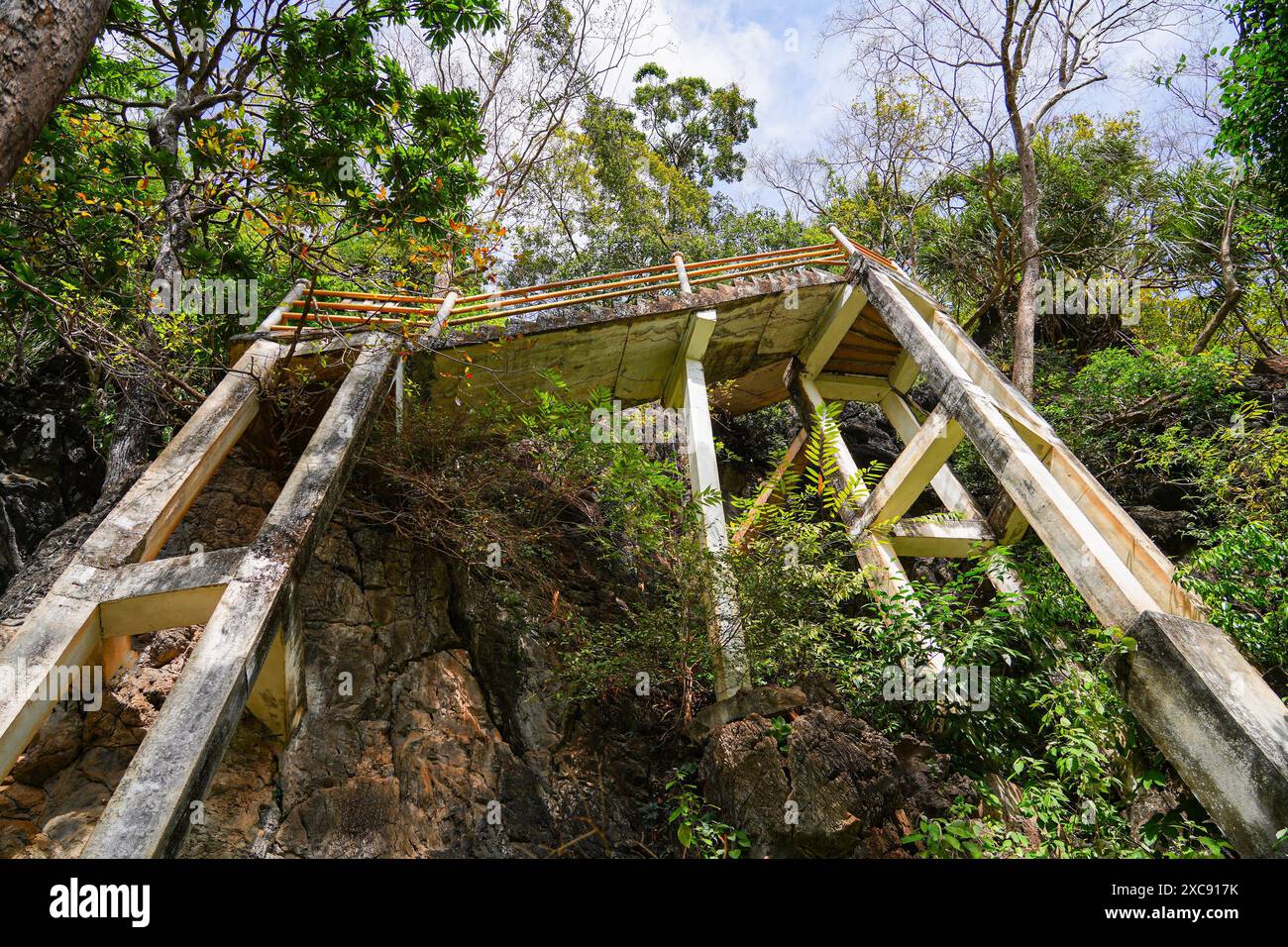 Steep stairs climbing up a limestone karst cliff through the rainforest ...