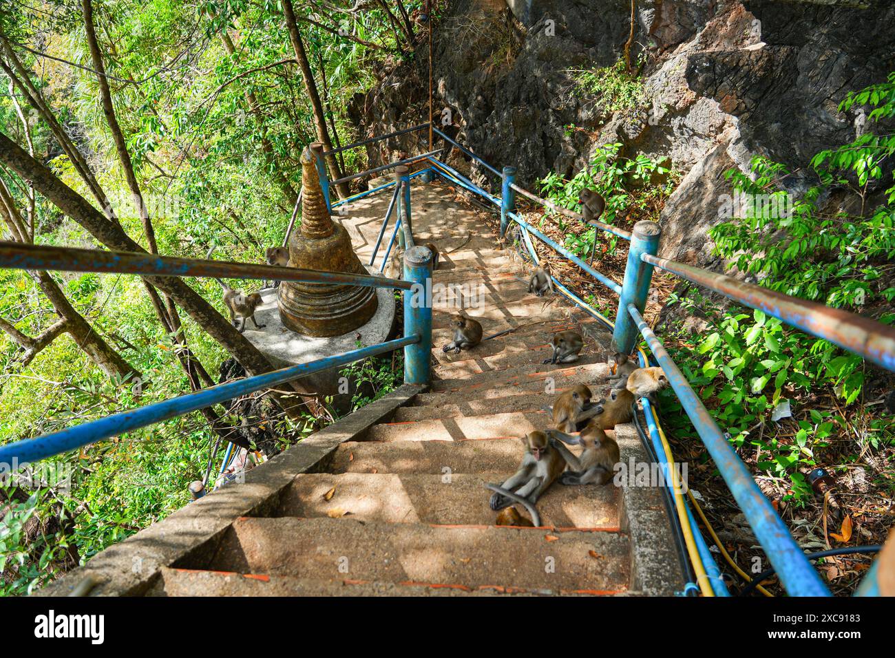 Steep stairs climbing up a limestone karst cliff through the rainforest ...