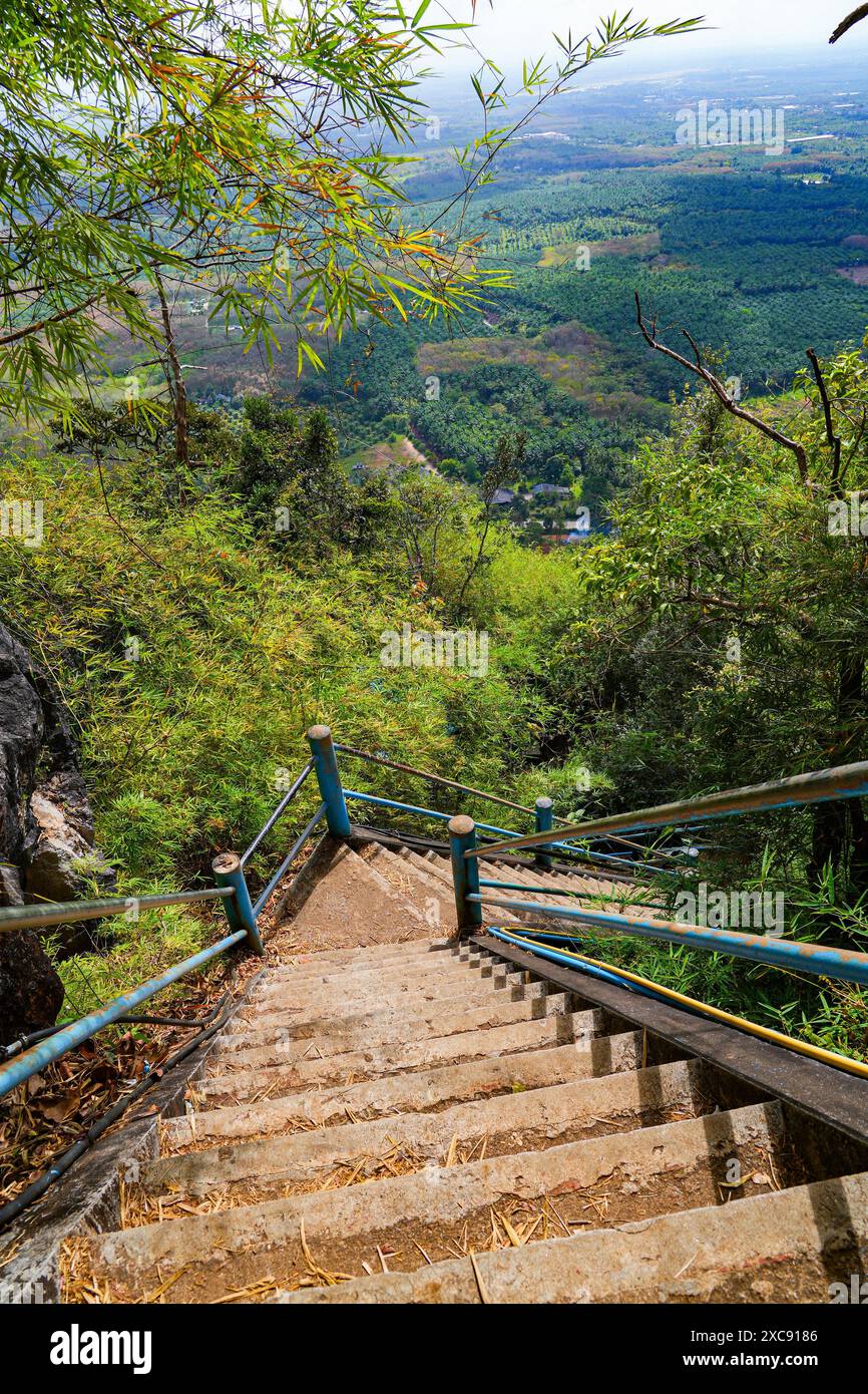 Steep stairs climbing up a limestone karst cliff through the rainforest ...