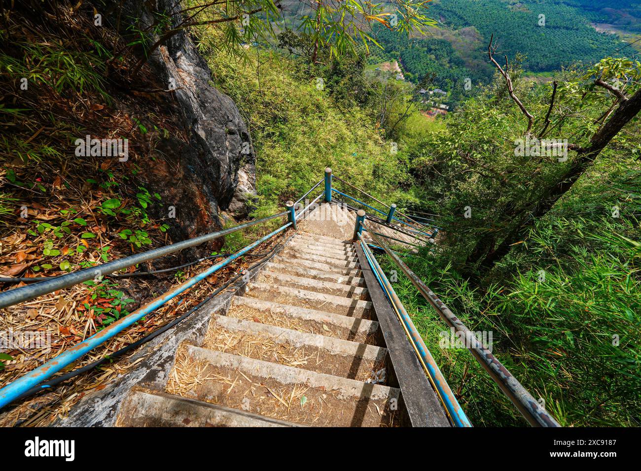Steep stairs climbing up a limestone karst cliff through the rainforest ...