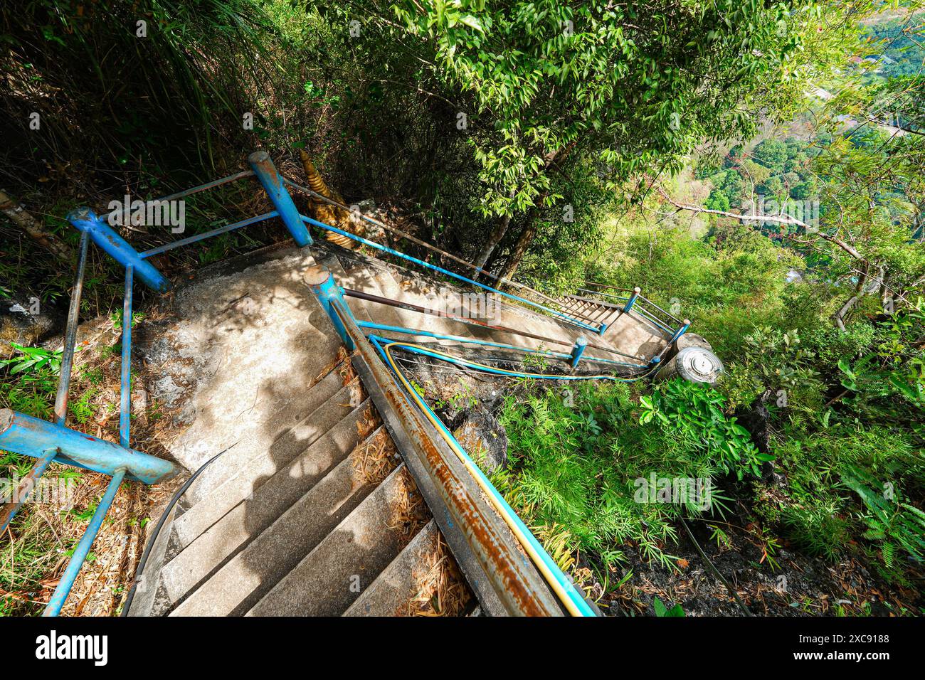 Steep stairs climbing up a limestone karst cliff through the rainforest ...