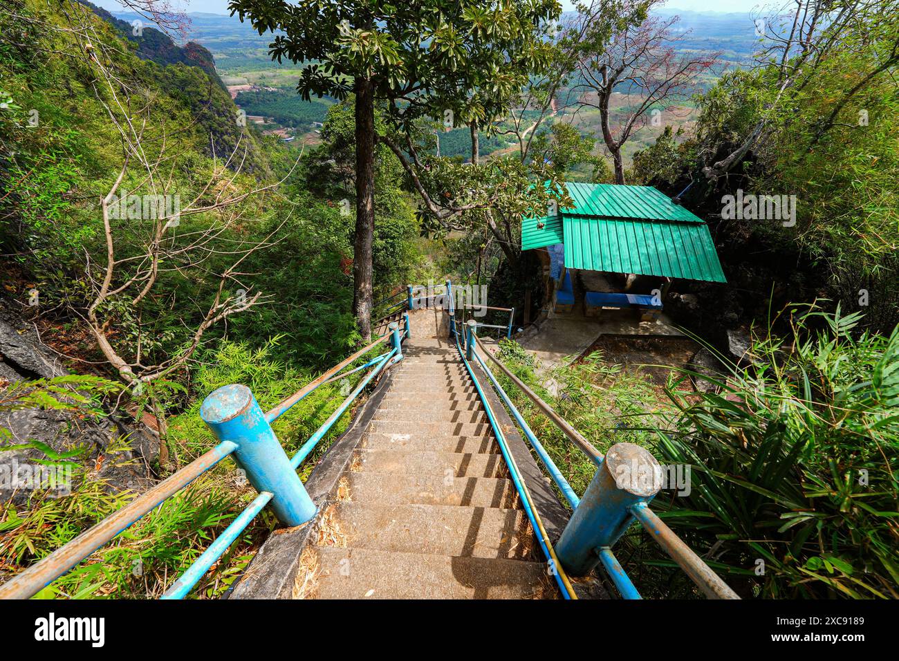 Steep stairs climbing up a limestone karst cliff through the rainforest ...