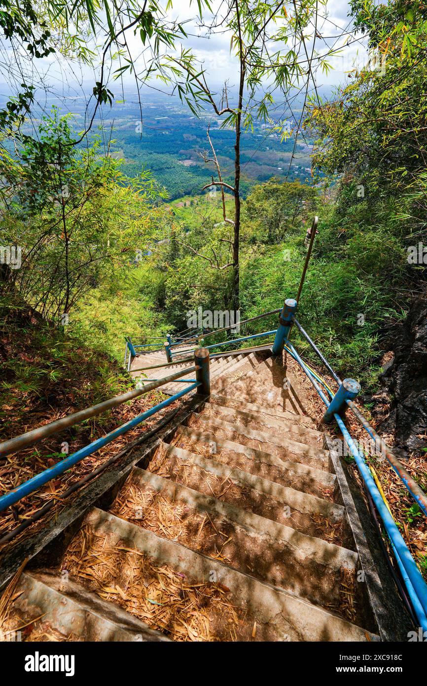 Steep stairs climbing up a limestone karst cliff through the rainforest ...