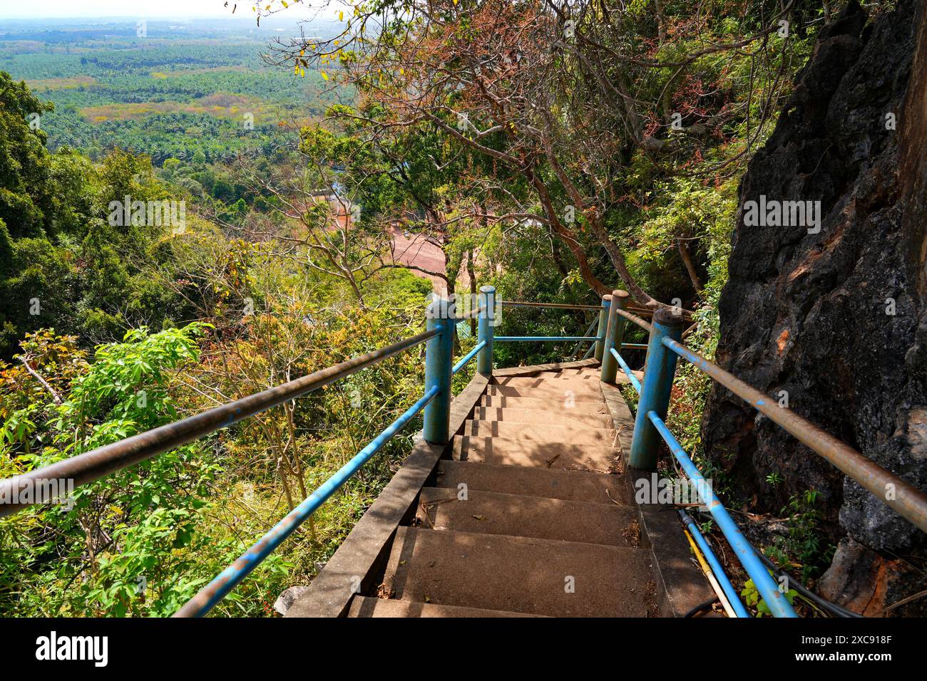 Steep stairs climbing up a limestone karst cliff through the rainforest ...