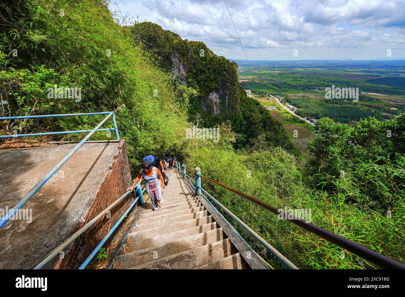 Steep stairs climbing up a limestone karst cliff through the rainforest ...