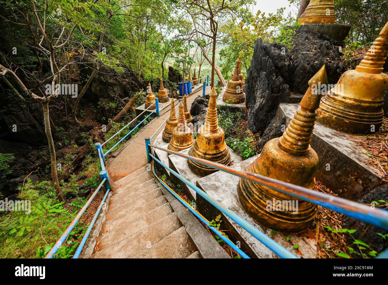 Steep stairs climbing up a limestone karst cliff through the rainforest ...
