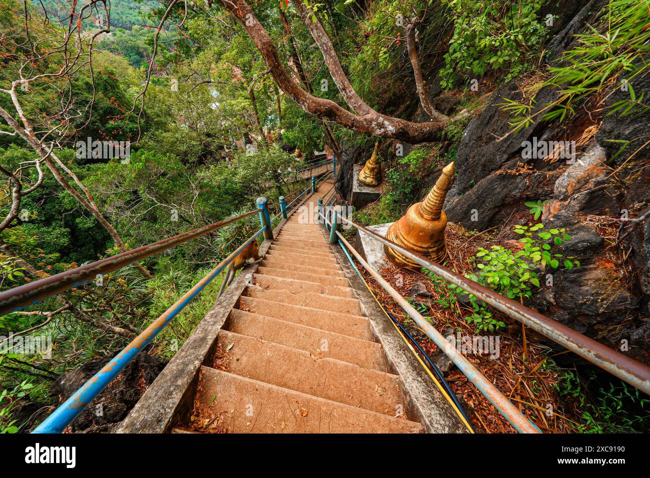 Steep stairs climbing up a limestone karst cliff through the rainforest ...