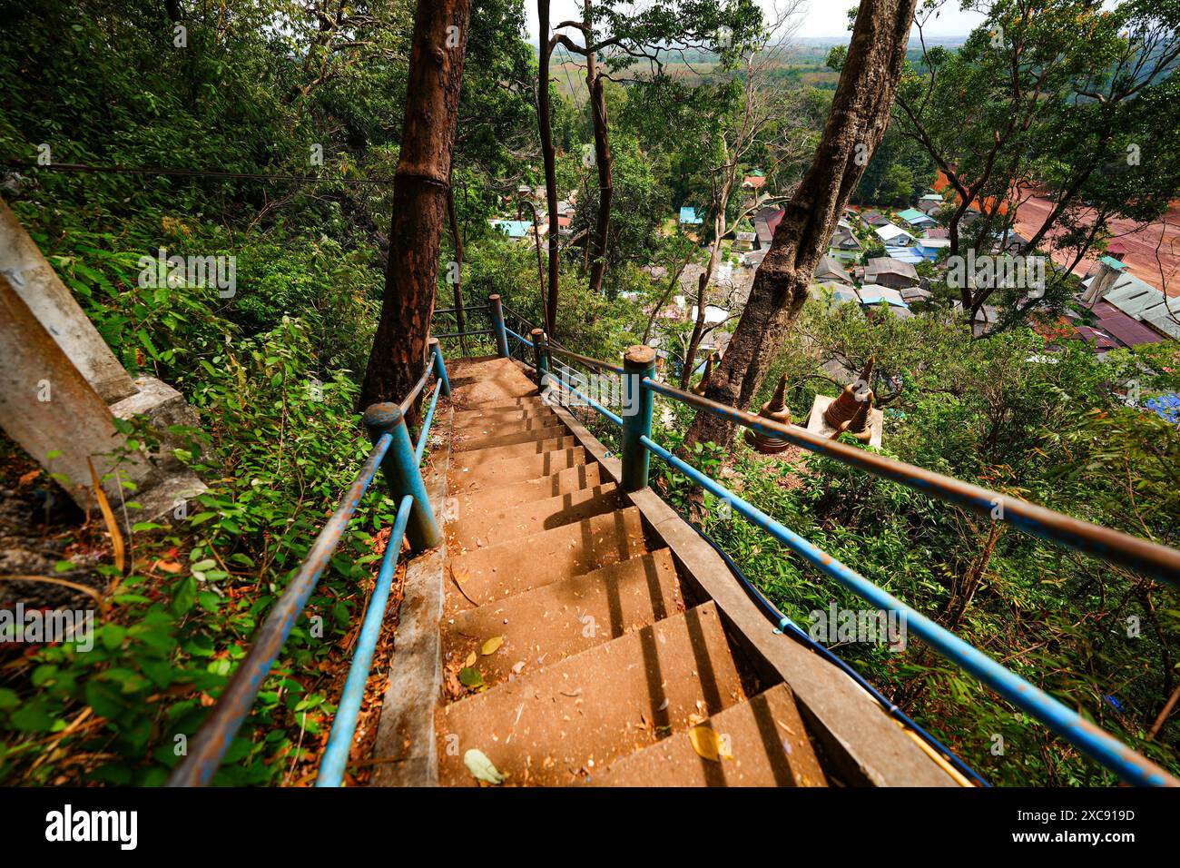 Steep stairs climbing up a limestone karst cliff through the rainforest ...
