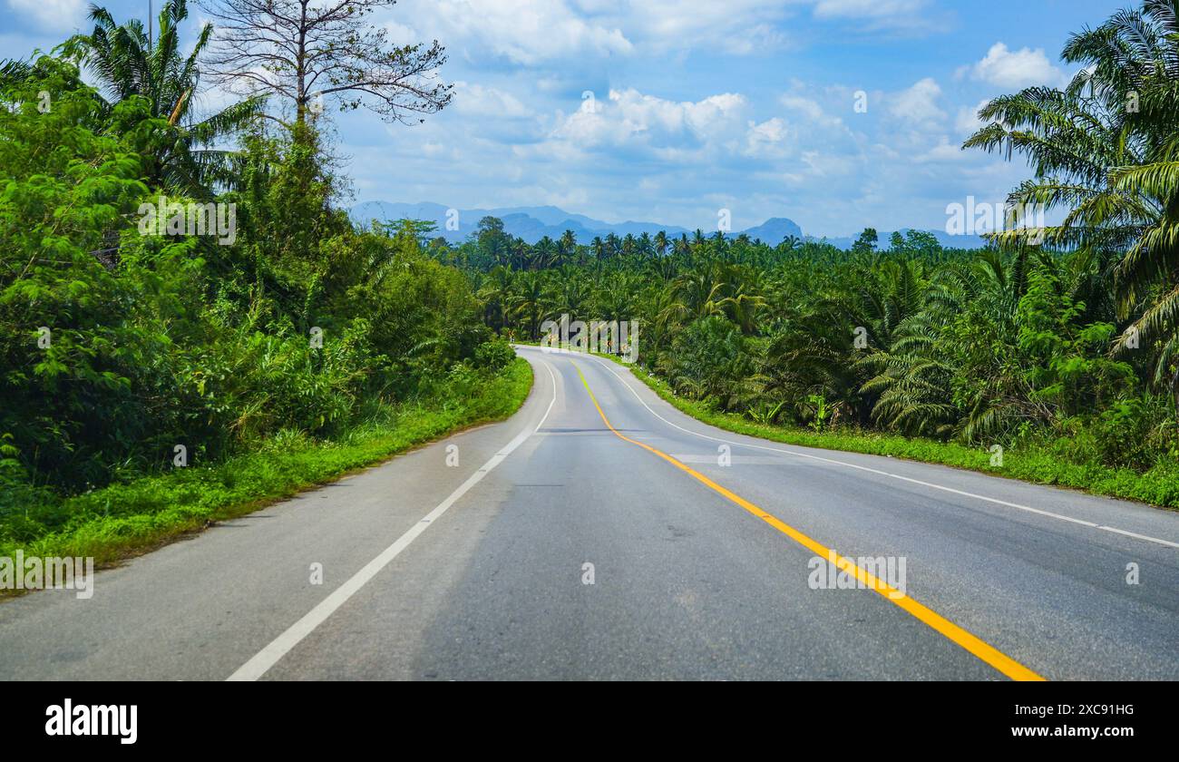 Winding road passing through a lush jungle surrounded by limestone ...