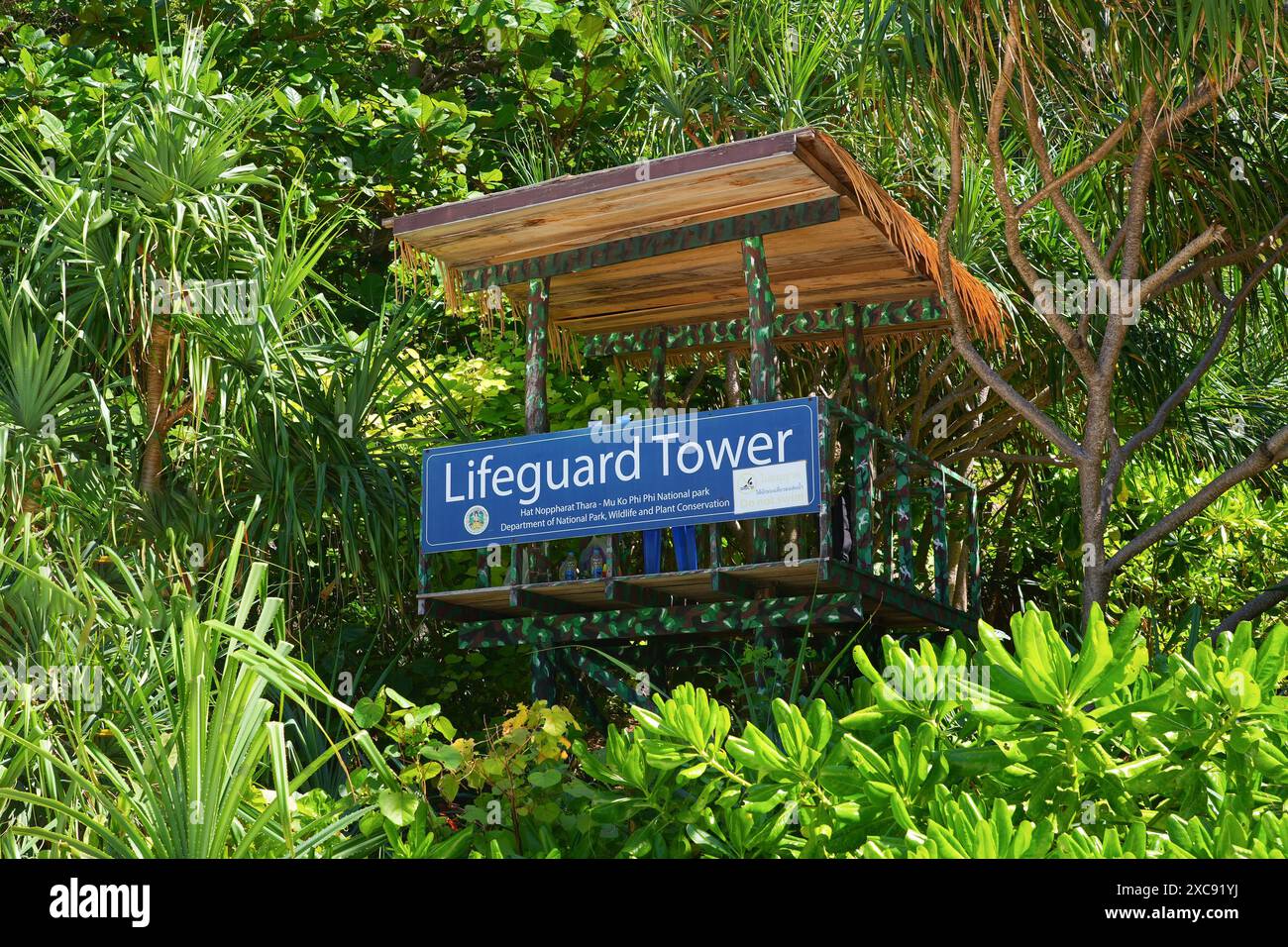 Lifeguard tower in the jungle behind Maya Bay, a place made famous by ...