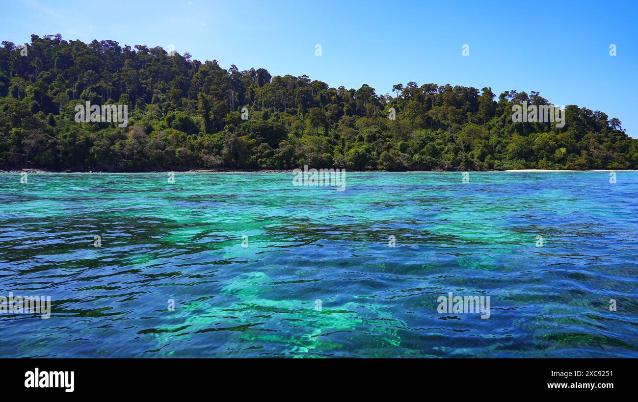 Jungle of Koh Rok Noi island above the transparent turquoise waters of ...