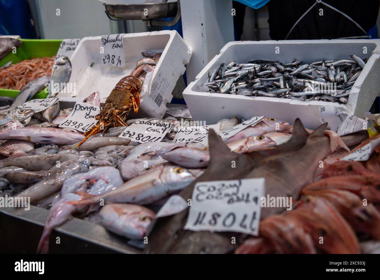 A stall in a fish market in Cádiz, Spain displays different types of ...