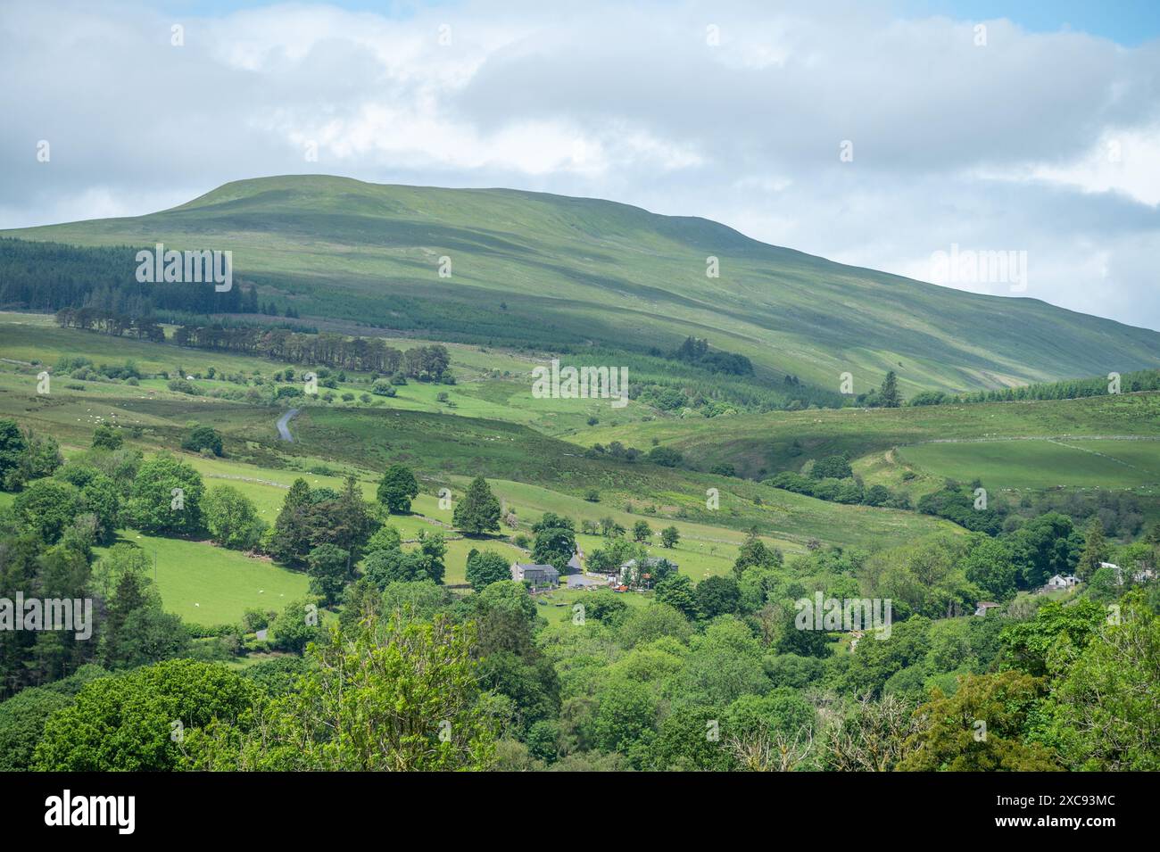 Fan llia hi-res stock photography and images - Alamy