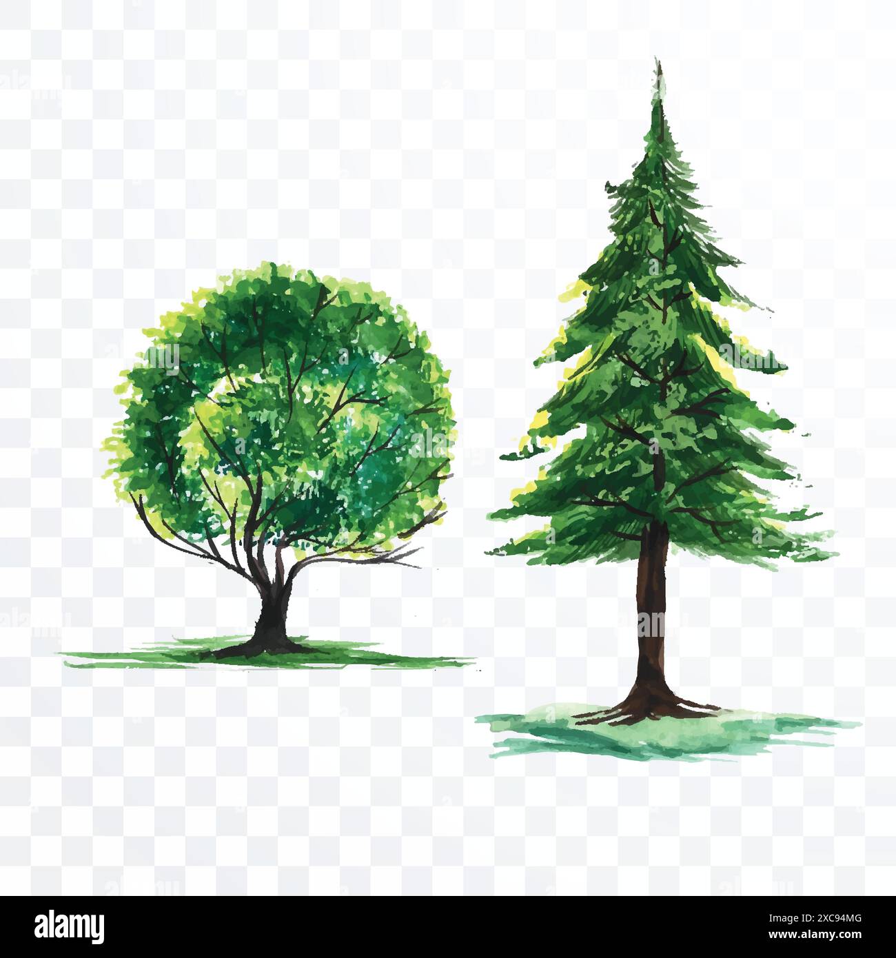 Set of various watercolor trees on transparent background Stock Vector ...
