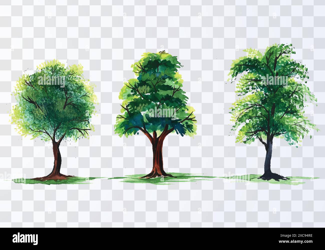 Set of various watercolor trees on transparent background Stock Vector ...