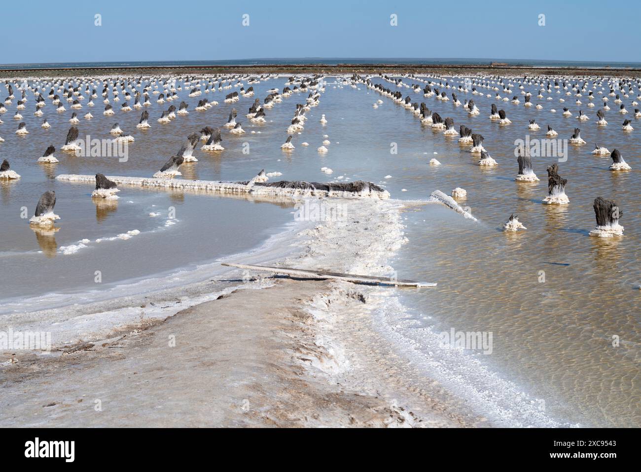 Remains of old wooden platforms for salt extraction on salt lake ...