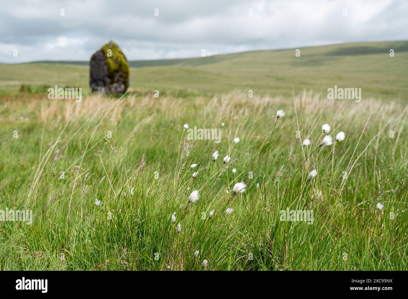 Standing stone in the brecon beacons hi-res stock photography and ...