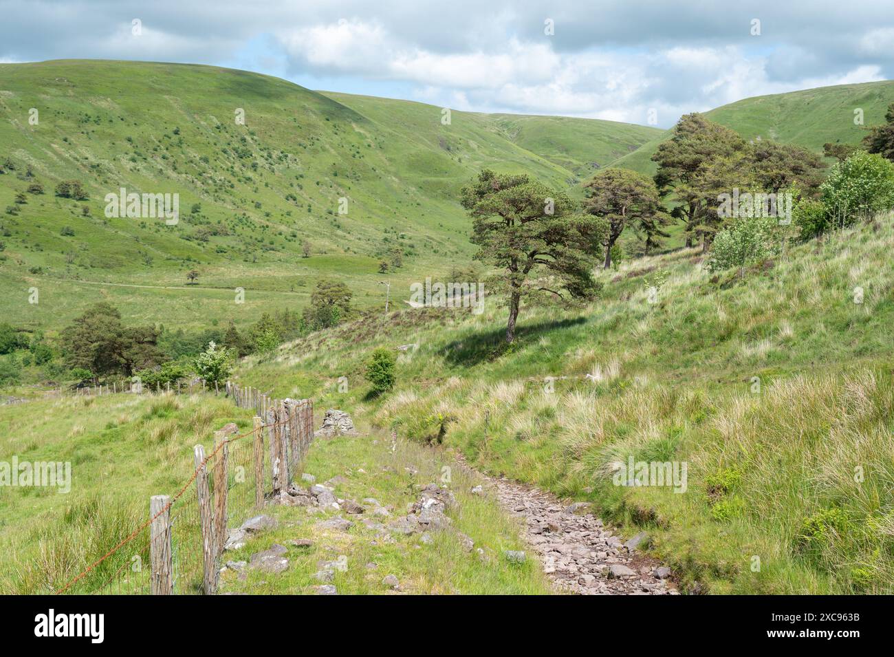 Sarn Helen Roman road, Brecon Beacons NAtional Park, Powys, Wales, UK ...