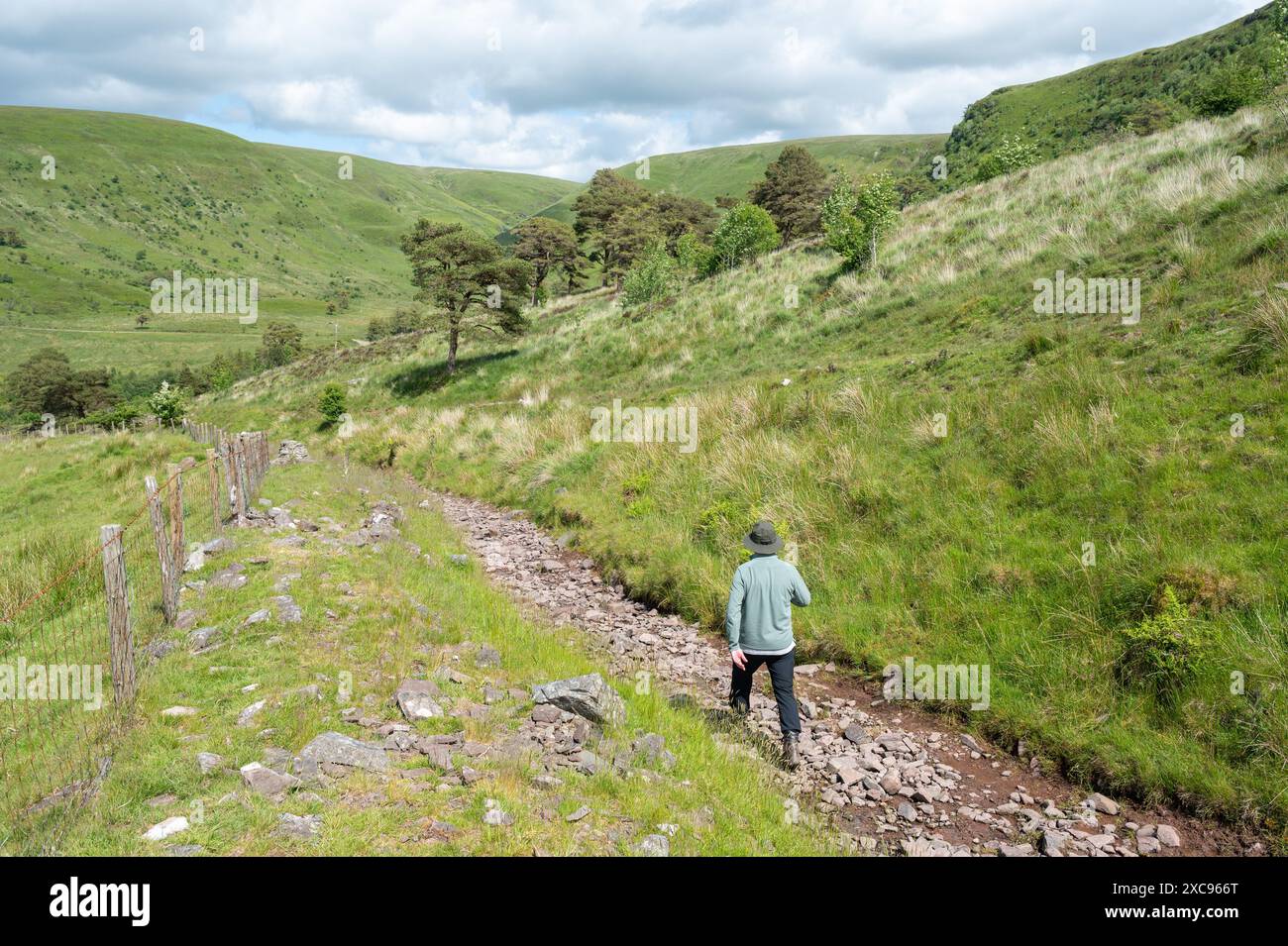 Man walking along Sarn Helen Roman road, Brecon Beacons NAtional Park ...