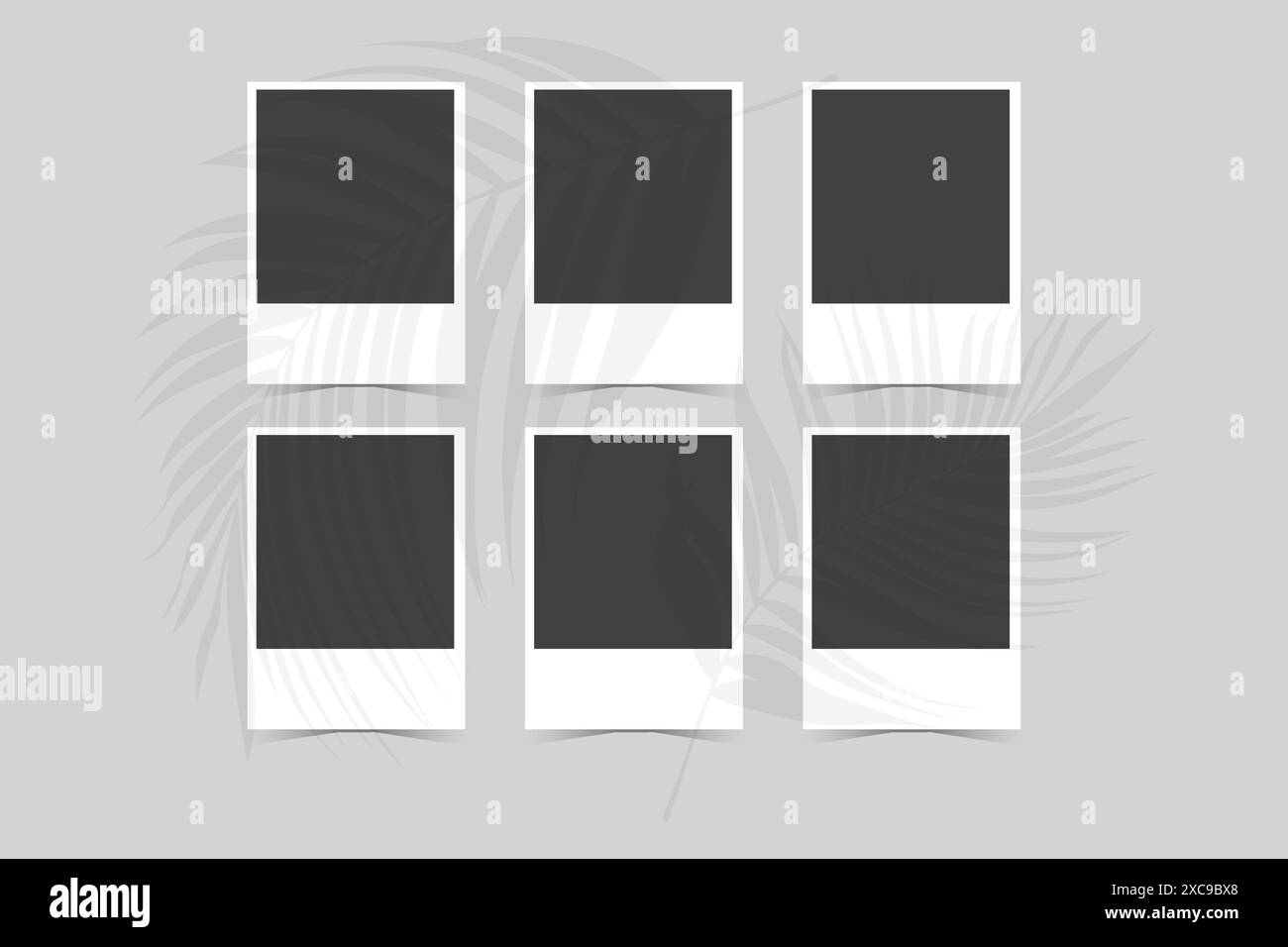 Collage photo effect Minimalist shadow Stock Vector Image & Art - Alamy