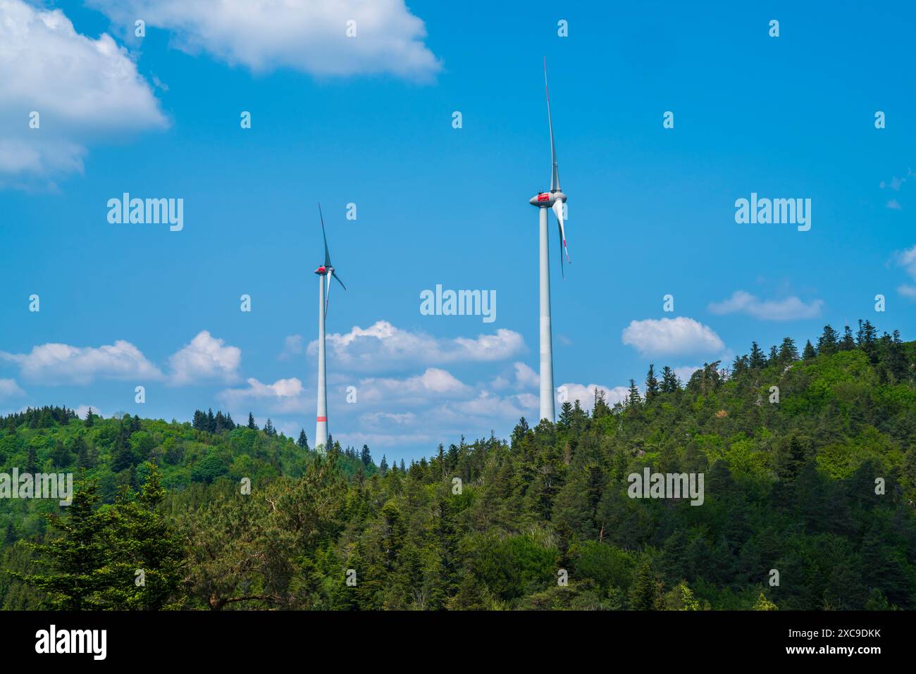 Germany, Two giant wind turbines in green woodland of black forest ...