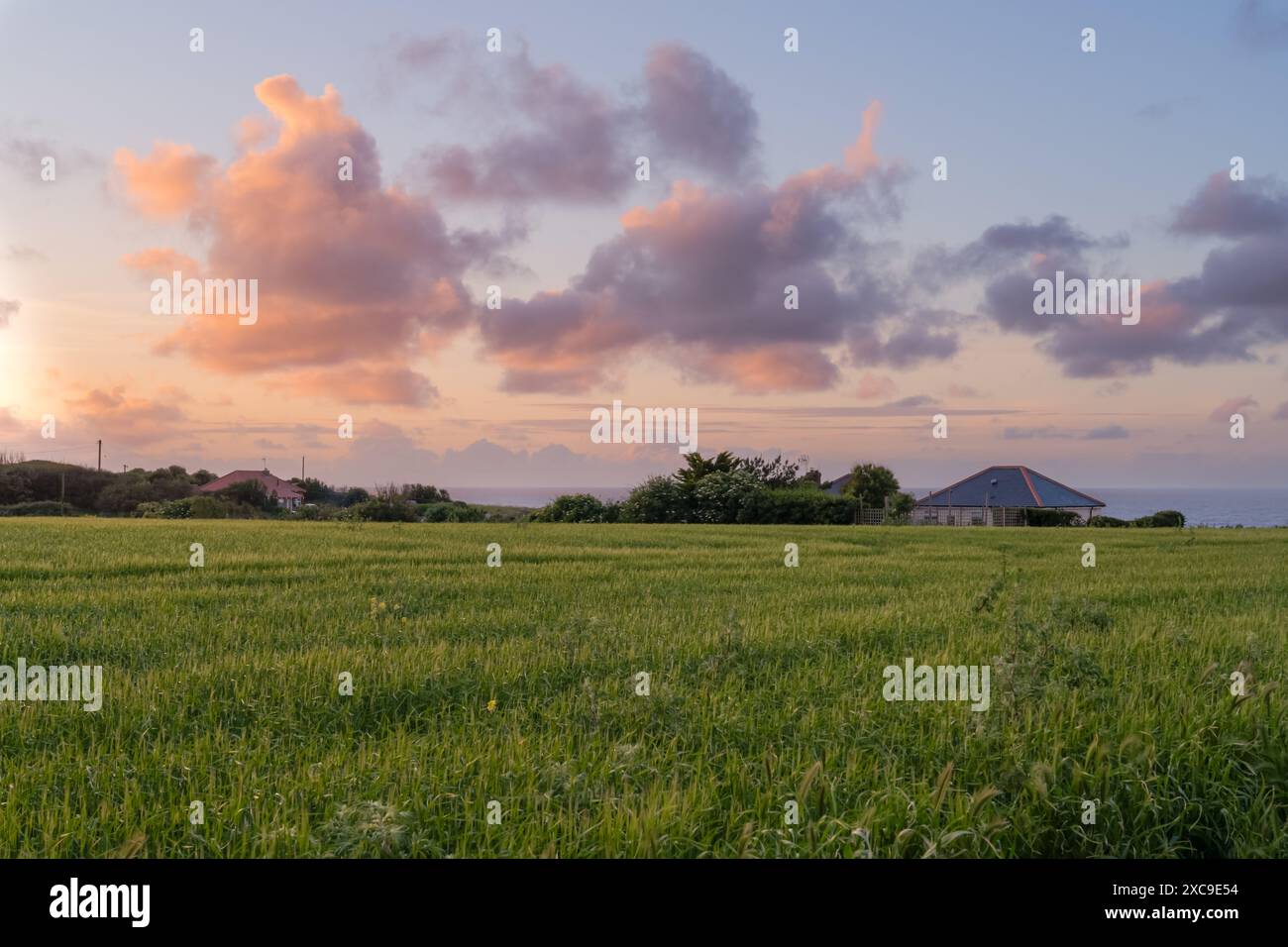Sunset colours in the coastal countryside of Trimingham, North Norfolk ...