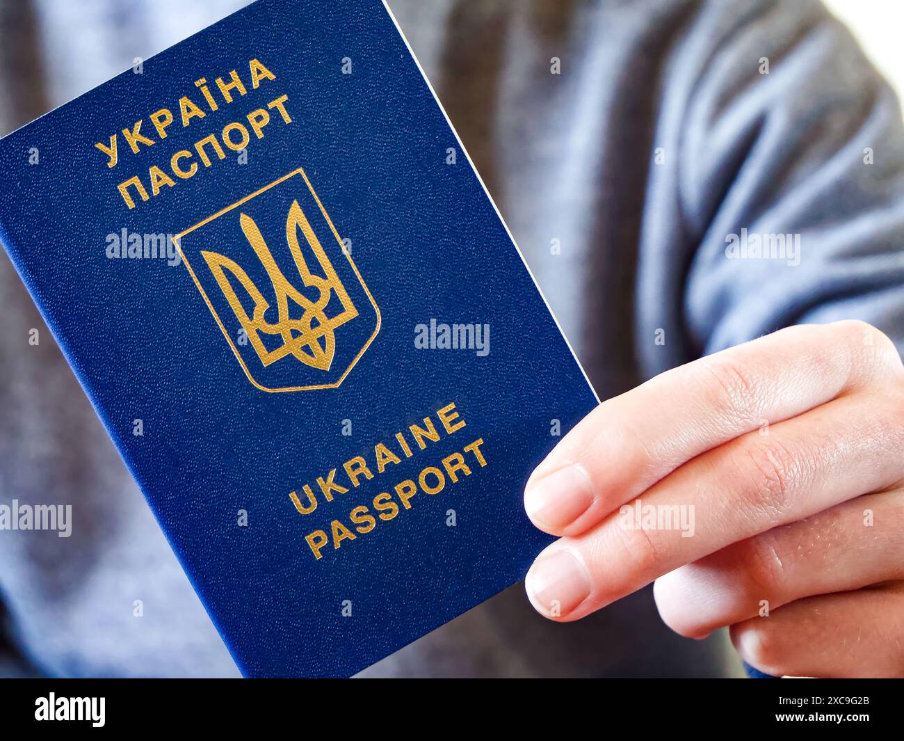 Ukrainian passport’s detailed cover, reflecting government authority ...