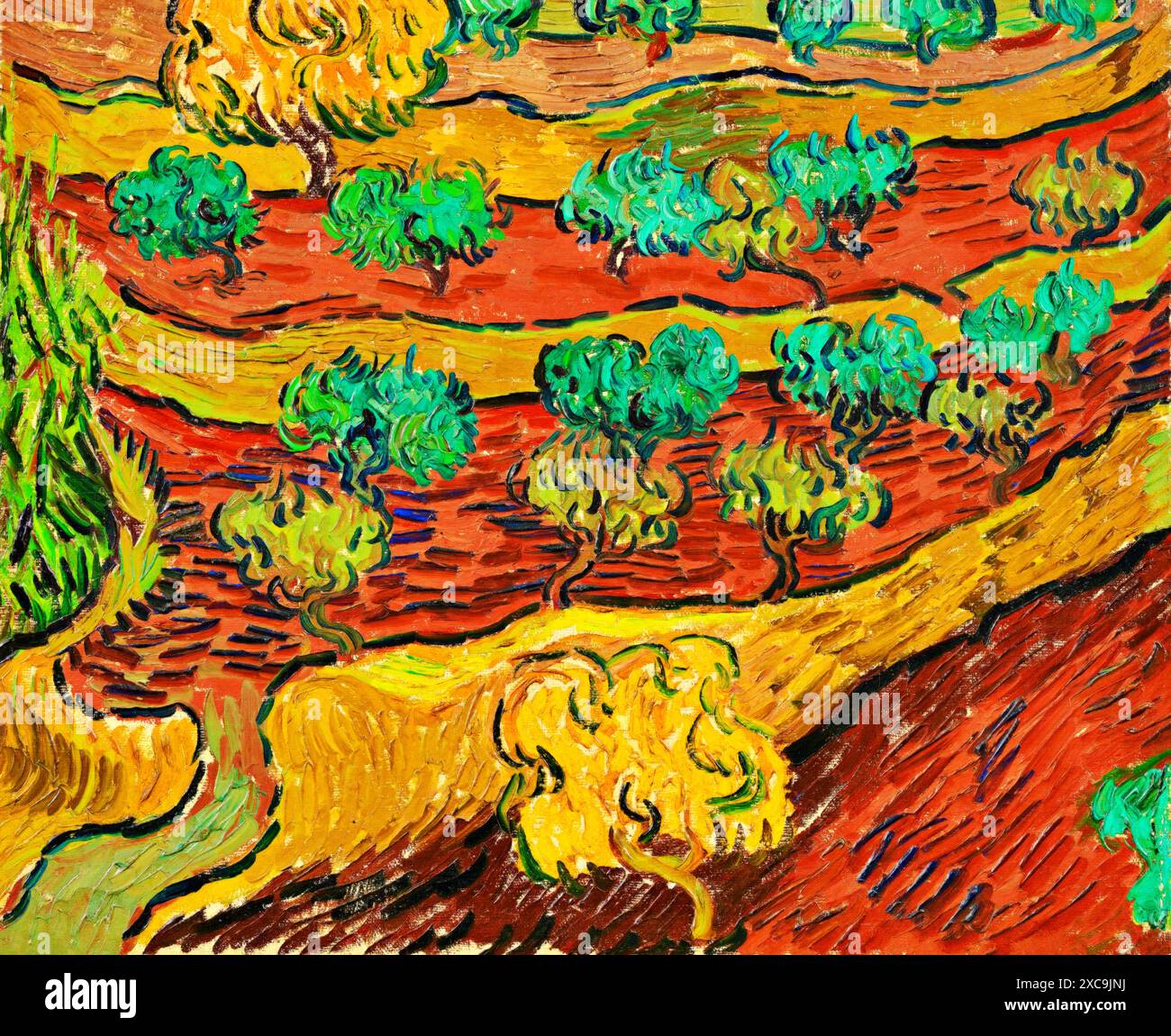 Olive Trees on a Hillside, 1889 (Painting) Artist Gogh, Vincent van ...