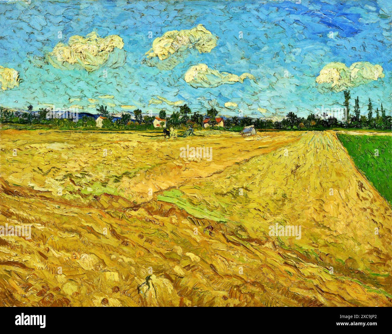 Van gogh fields night hi-res stock photography and images - Alamy