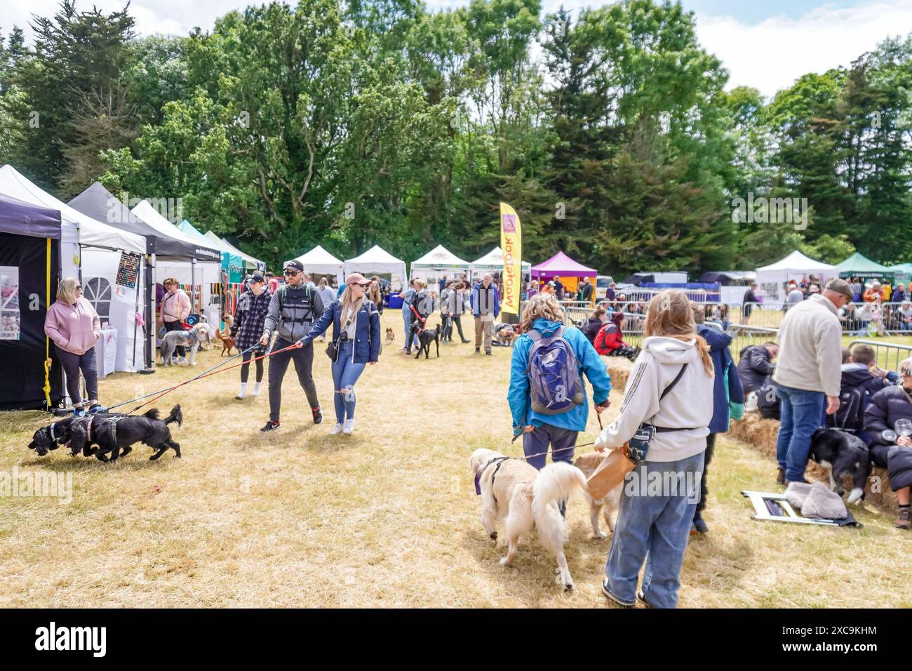 Powderham, UK. 15th June, 2024. Dog lovers descend on Powderham Castle ...