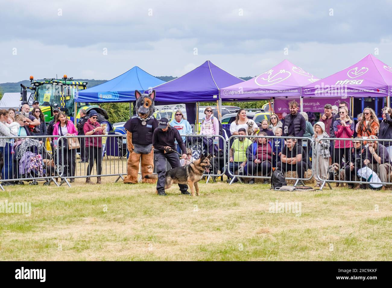 Powderham, UK. 15th June, 2024. Dog lovers descend on Powderham Castle ...