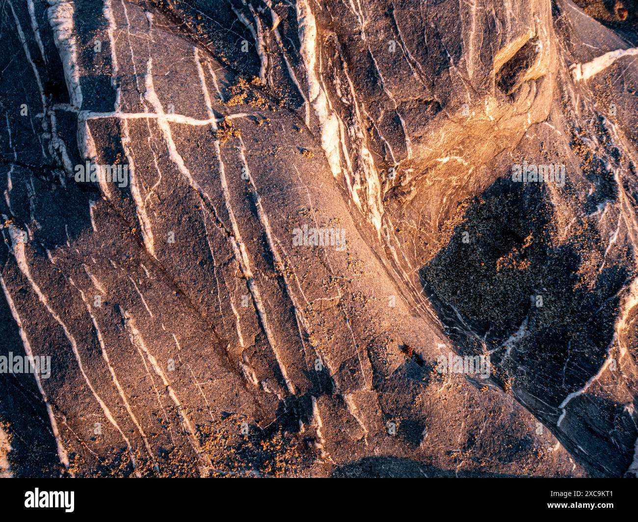 WA25334-00...WASHINGTON - Rock on the West Beach with lines of minerals ...