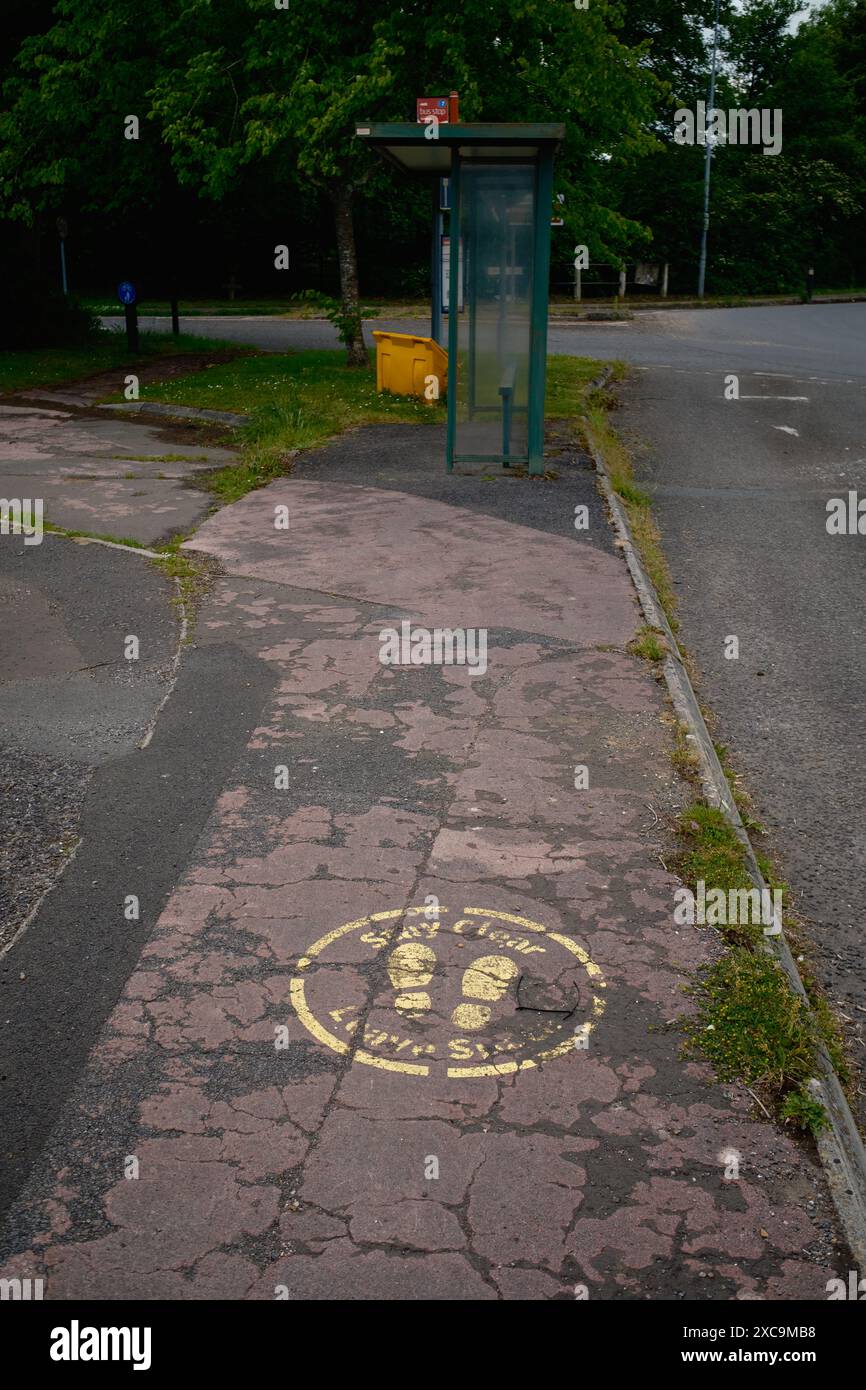 Information on leave hi-res stock photography and images - Alamy