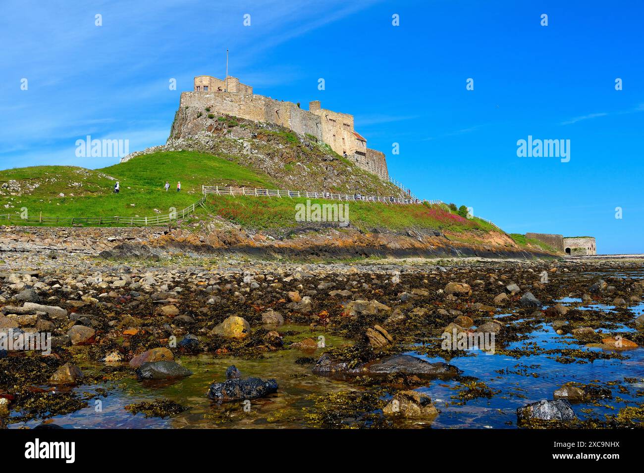 The Holy Island of Lindisfarne, and Castle Stock Photo - Alamy