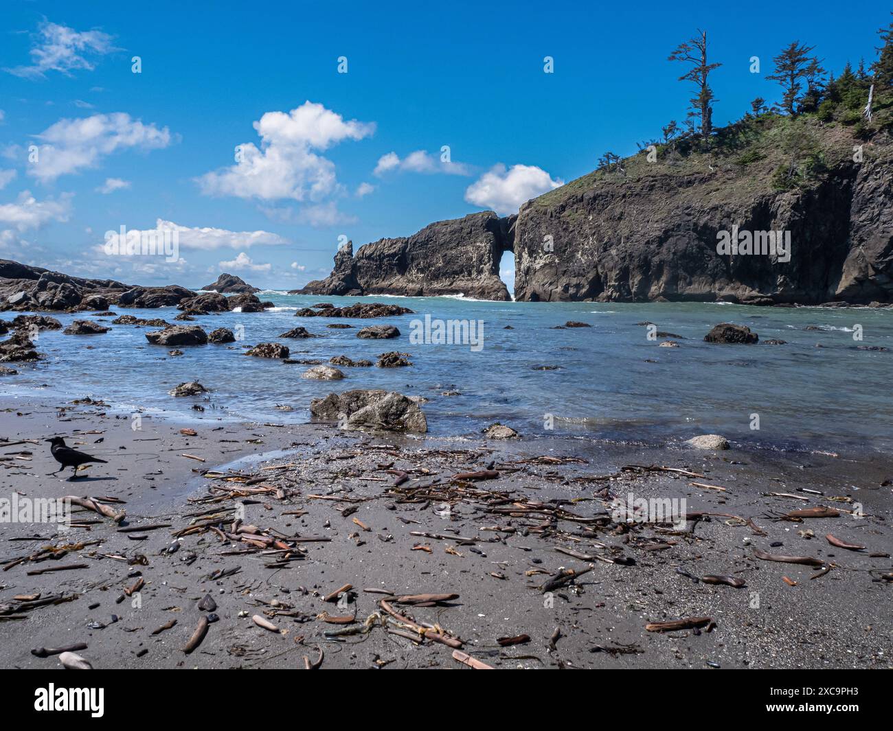 WA25356-00...WASHINGTON - Headland with a hole in the wall at Second ...