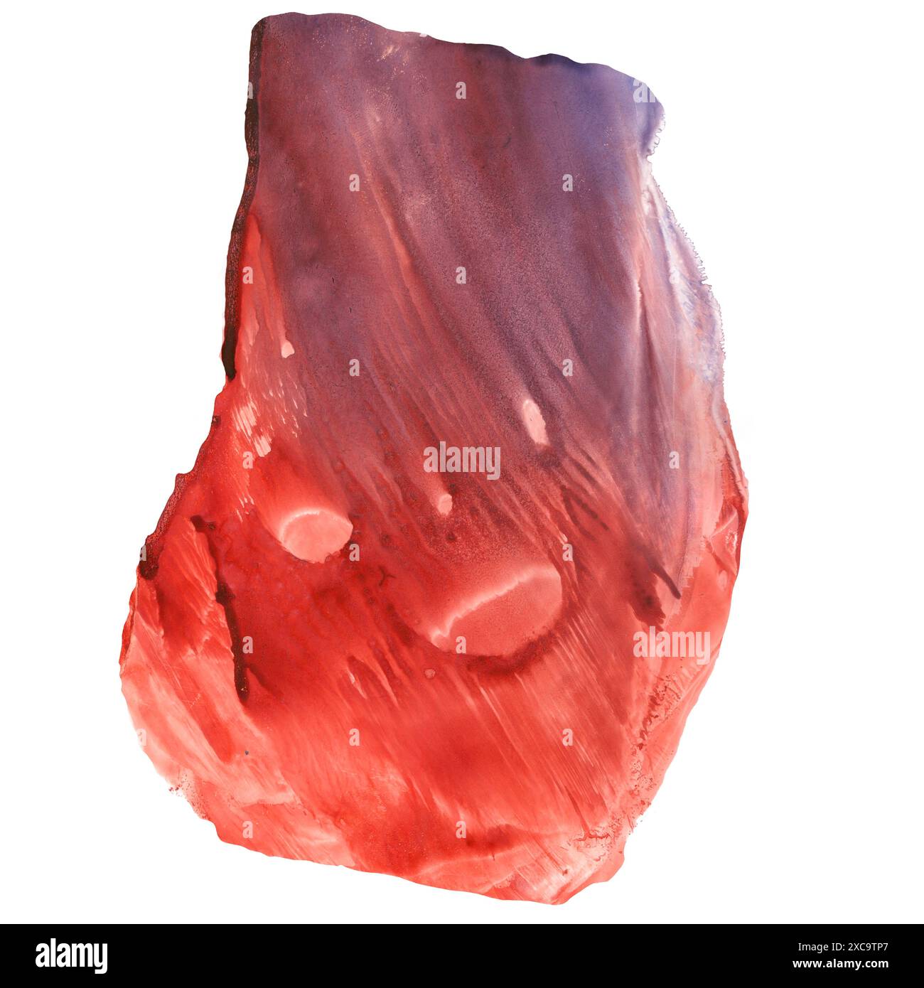 Raw Beef Slice. Showing Meat Texture in Red and Purple Tones. Or funny ...