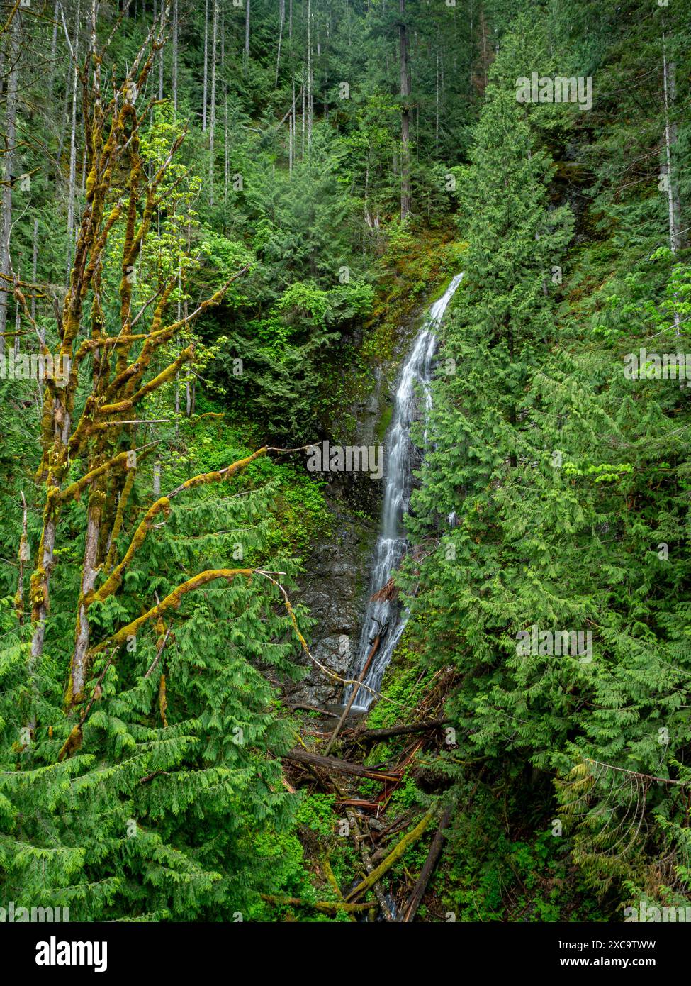 WA25370-00...WASHINGTON - Wine Creek waterfall viewed from the John ...